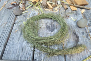 How to Collect Stinging Nettle Stalks • LIfesong Wilderness Adventures